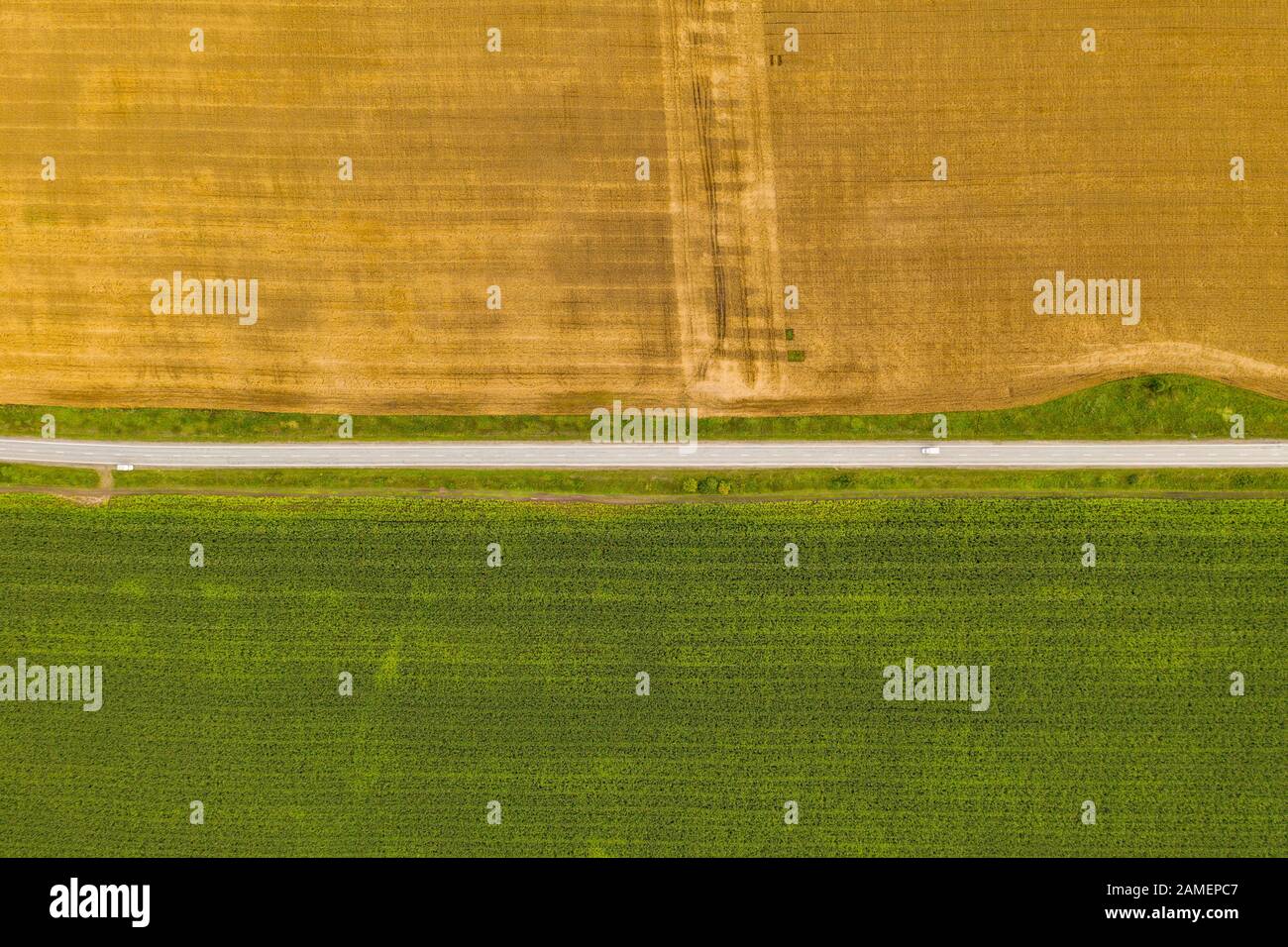 Aerial top view drone photography of a land with sown green fields in ...