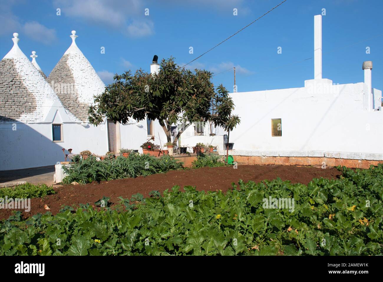 Group of Trulli and farm, traditional old houses and old stone wall in ...