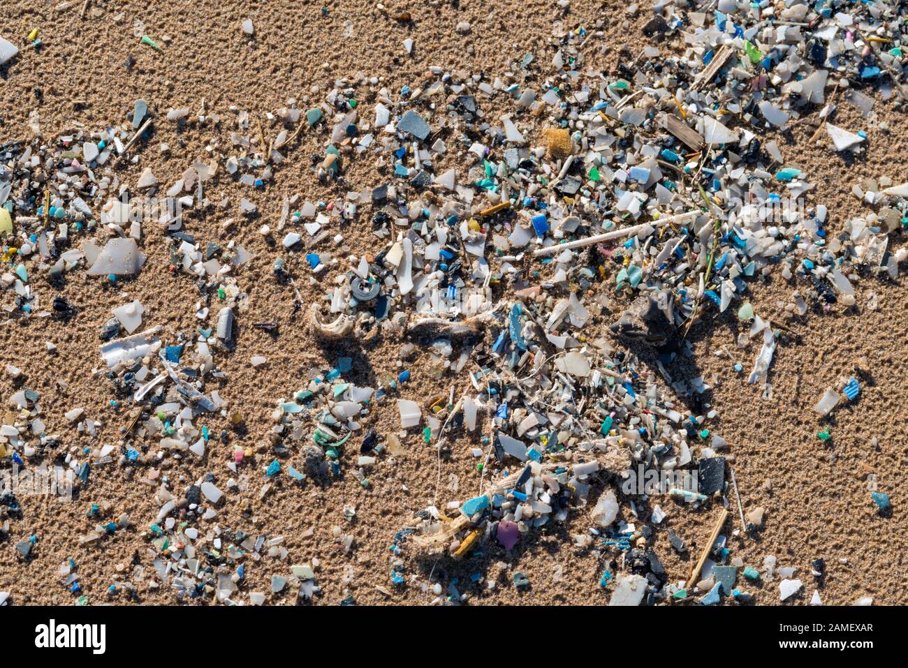 Plastic trashes on the beautiful sandy beach Stock Photo - Alamy