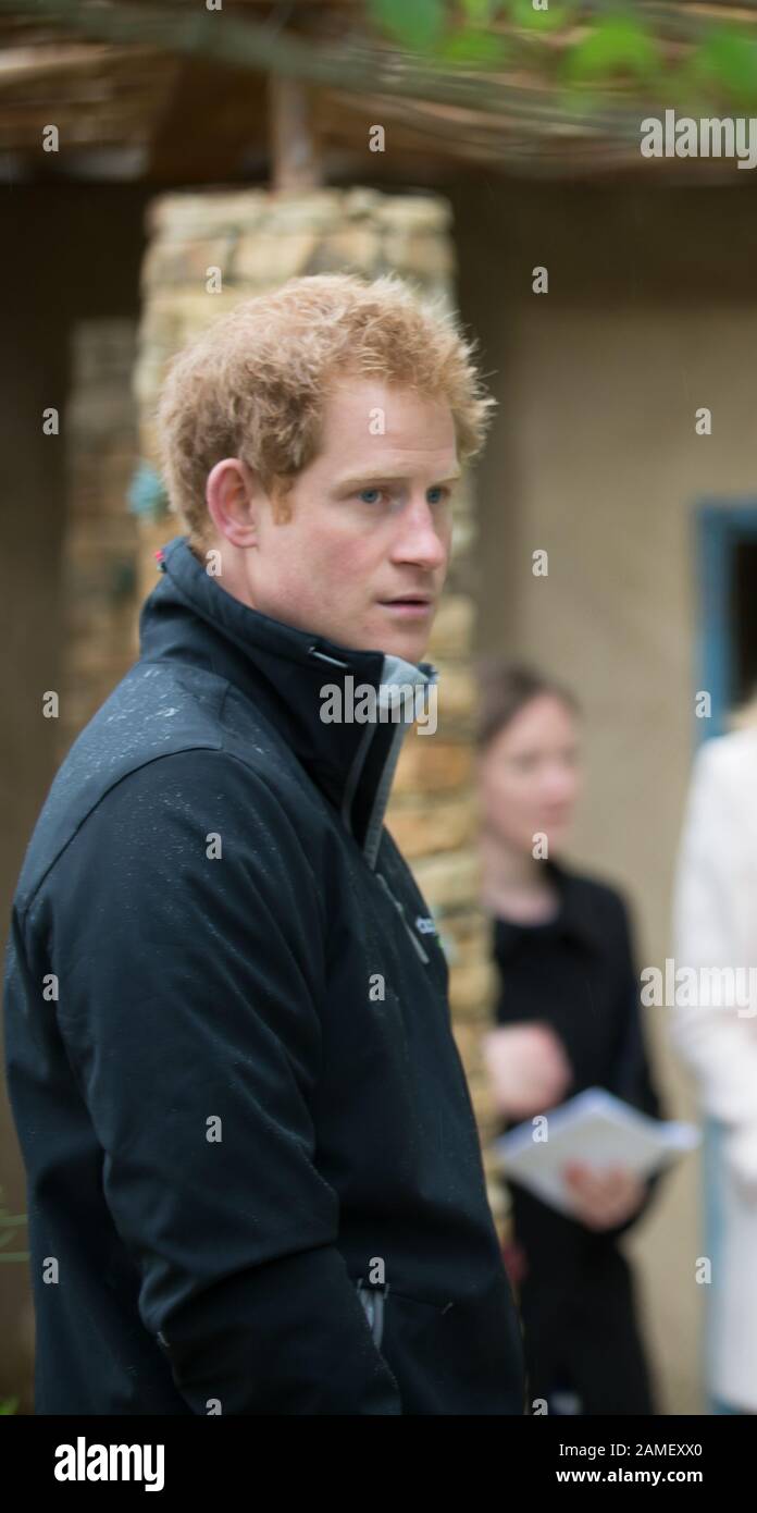 Grandson prince harry sentebale garden hi-res stock photography and ...