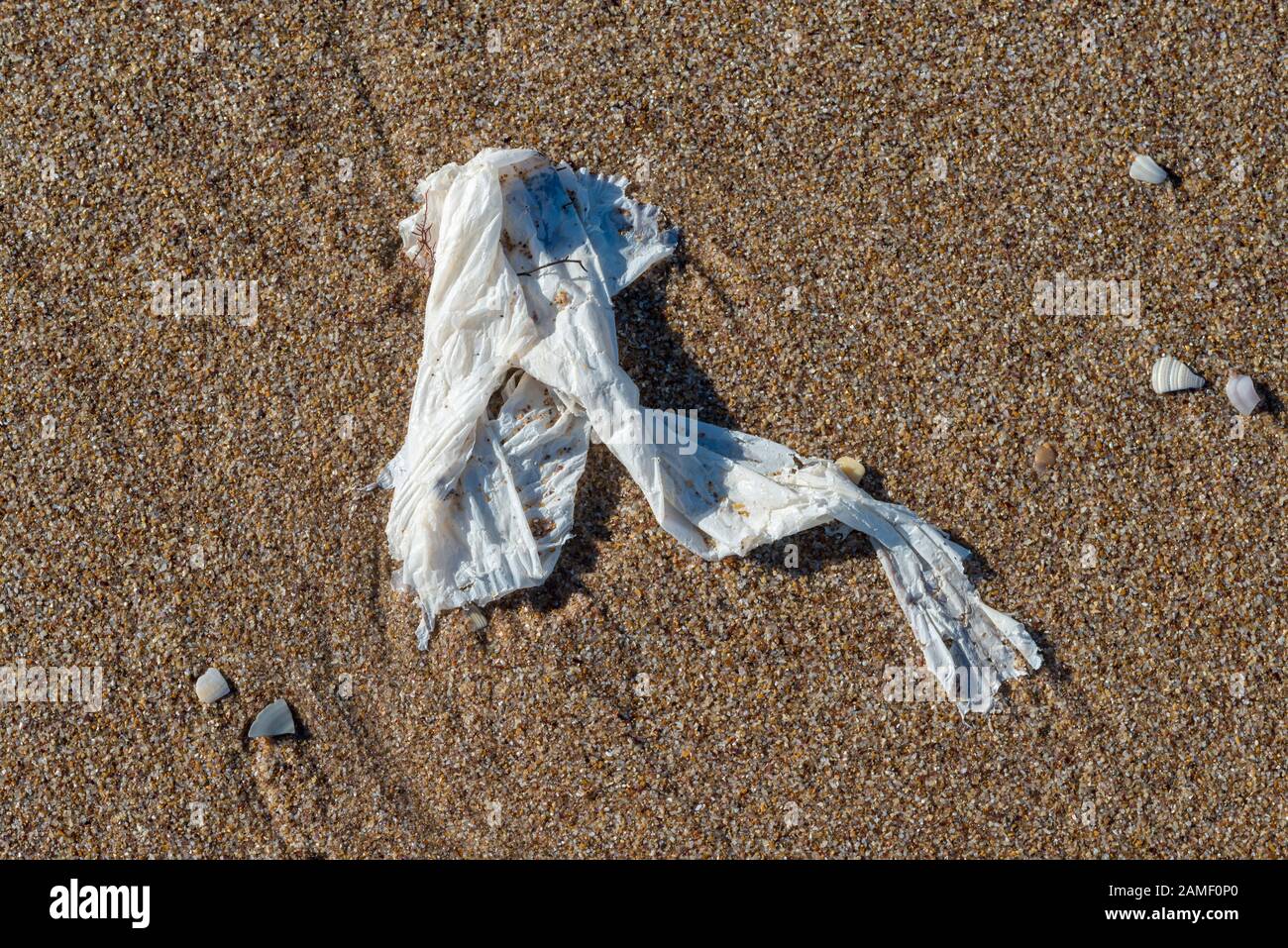 Plastic trashes on the beautiful sandy beach Stock Photo - Alamy