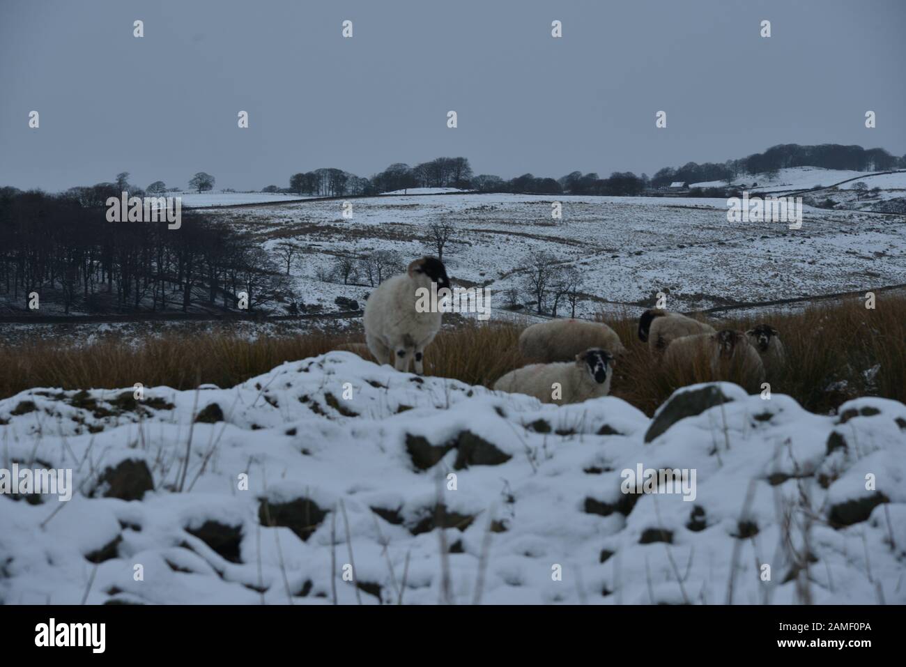 Dean clough reservoir hi-res stock photography and images - Alamy