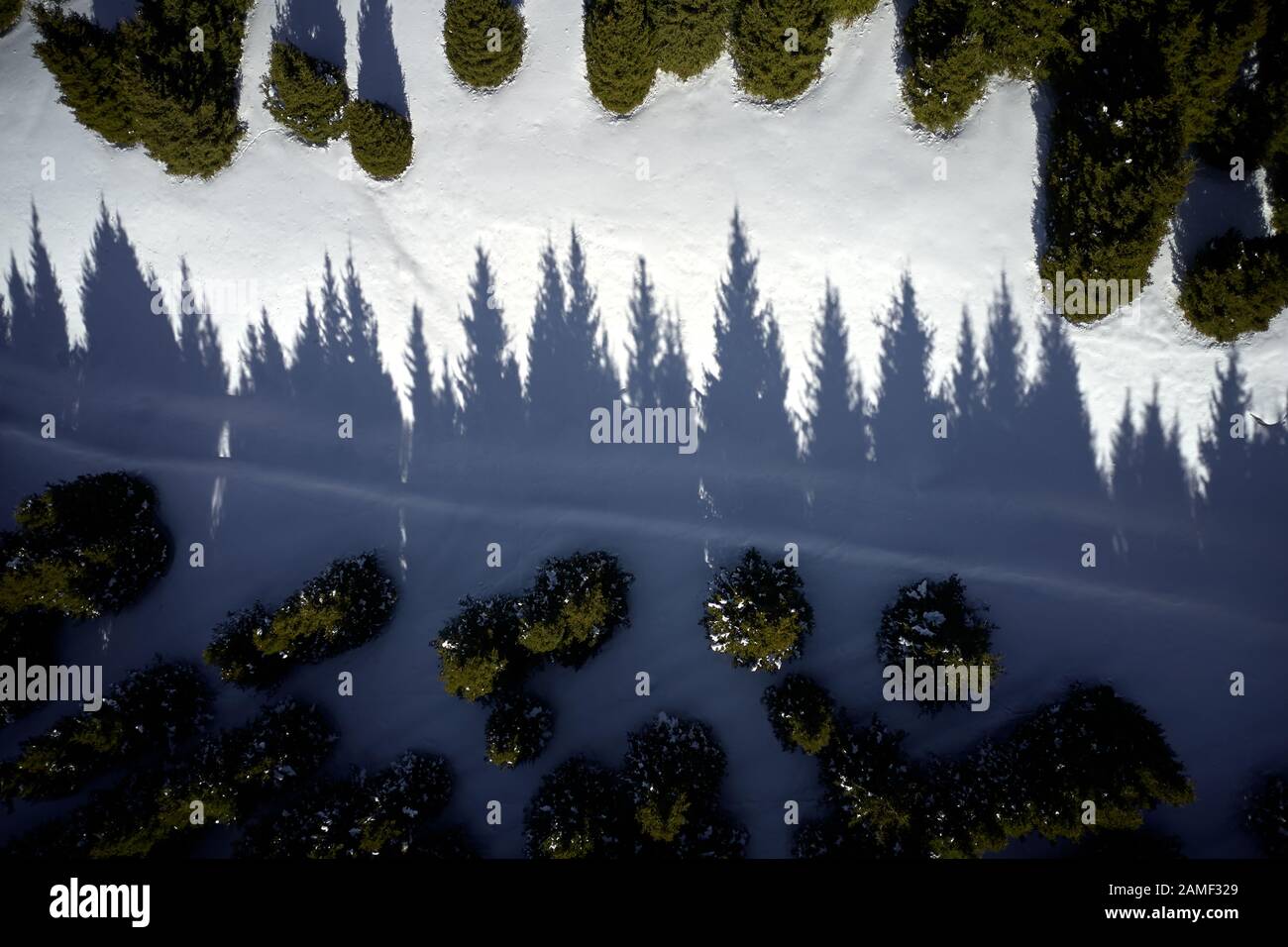 Magical tree hi-res stock photography and images - Alamy