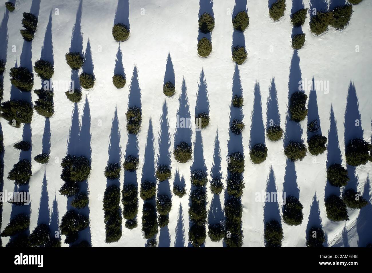 Tree shadow aerial hi-res stock photography and images - Alamy