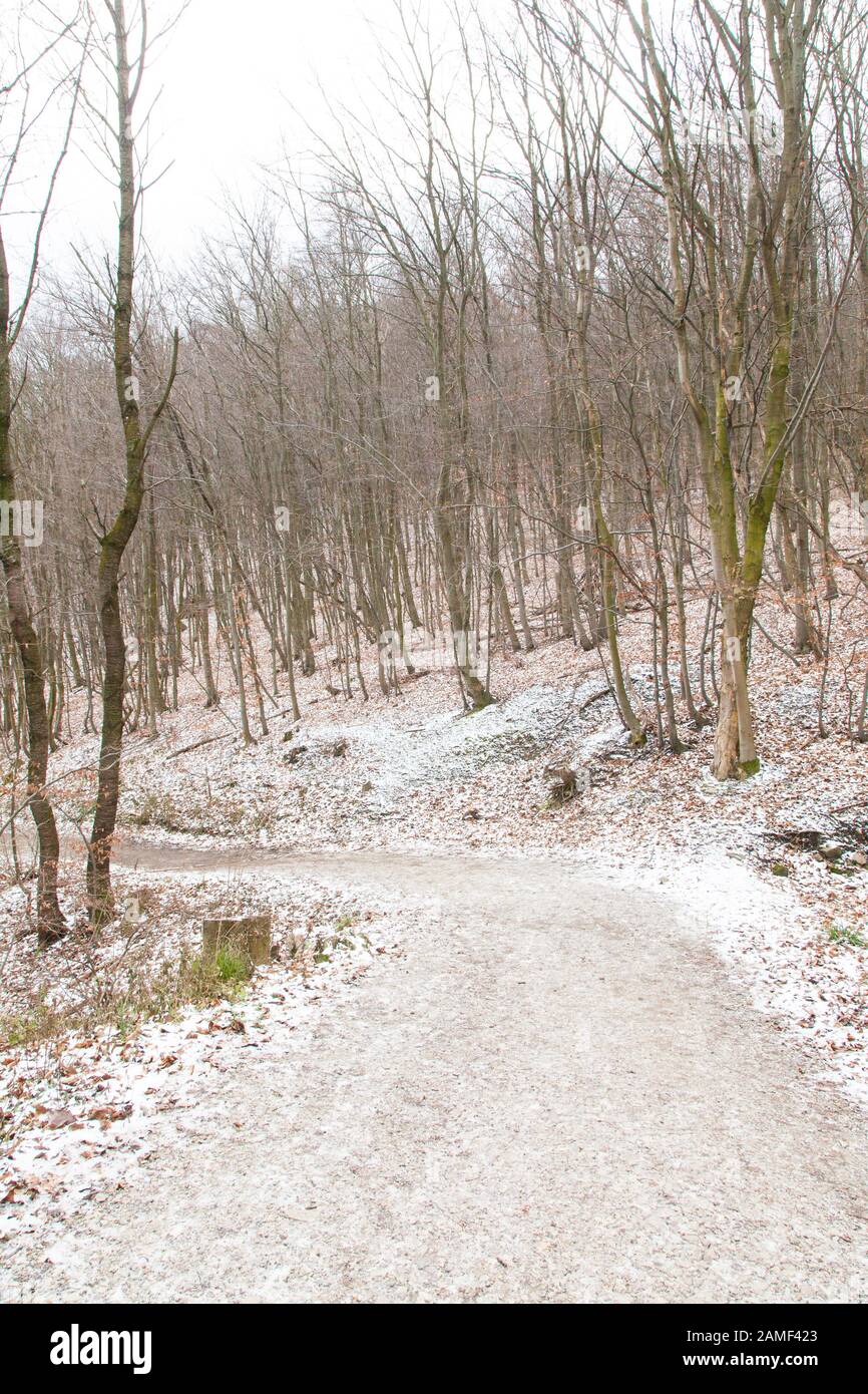 Cobenzl vienna hi-res stock photography and images - Alamy