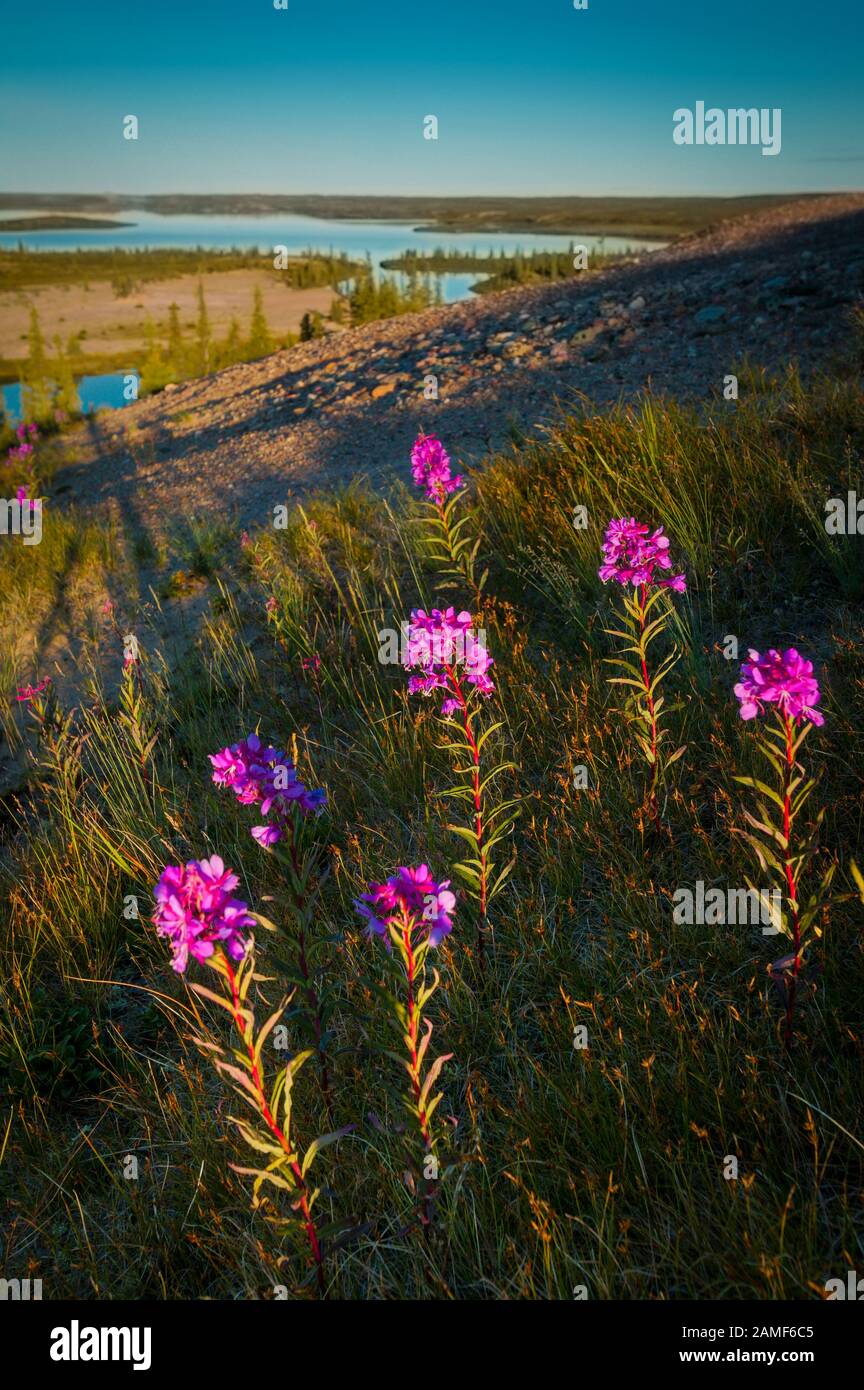Spectacular northwest territories hi-res stock photography and images ...