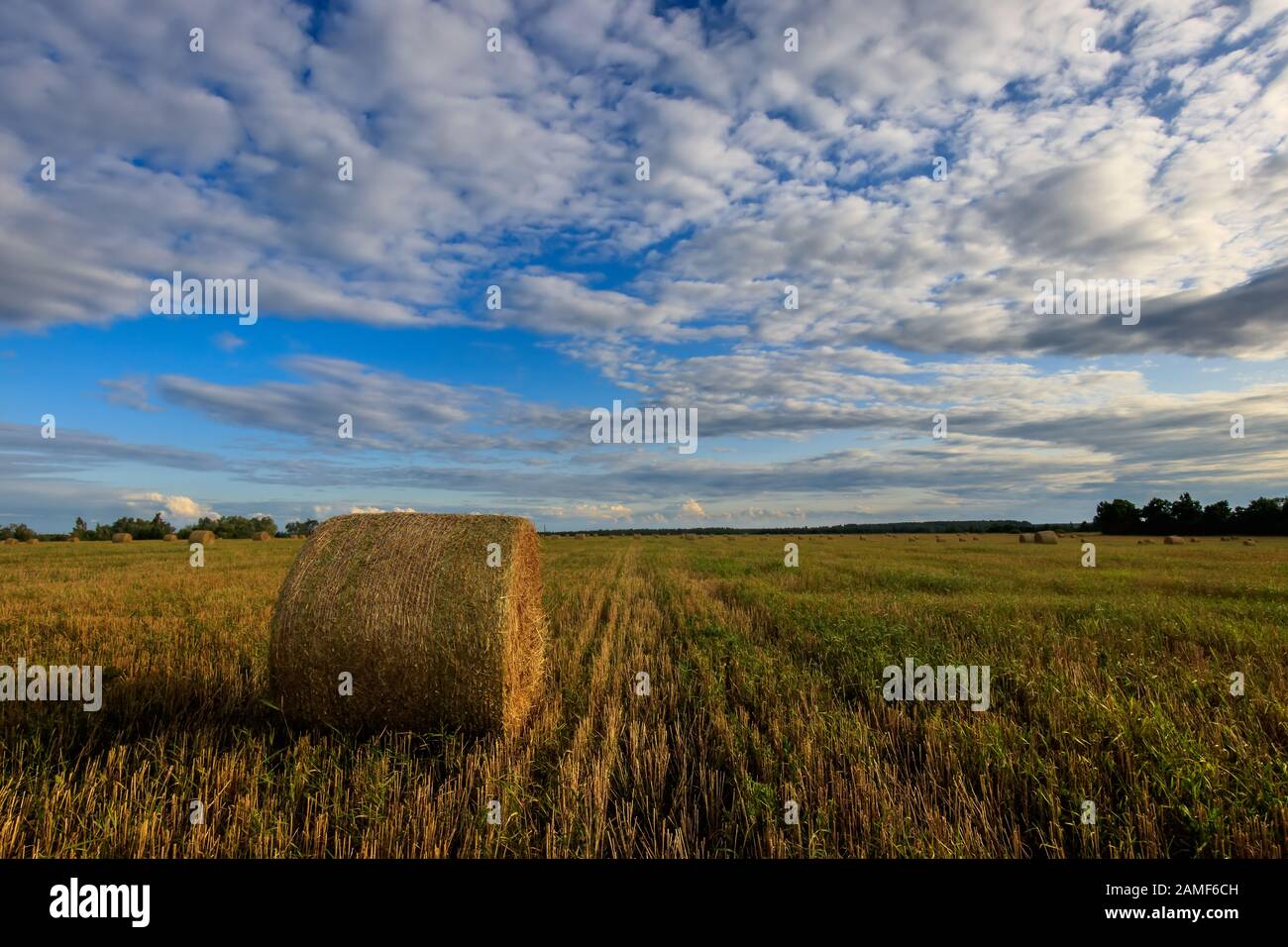 Haystacks on the field in Autumn season. Rural landscape with cloudy ...