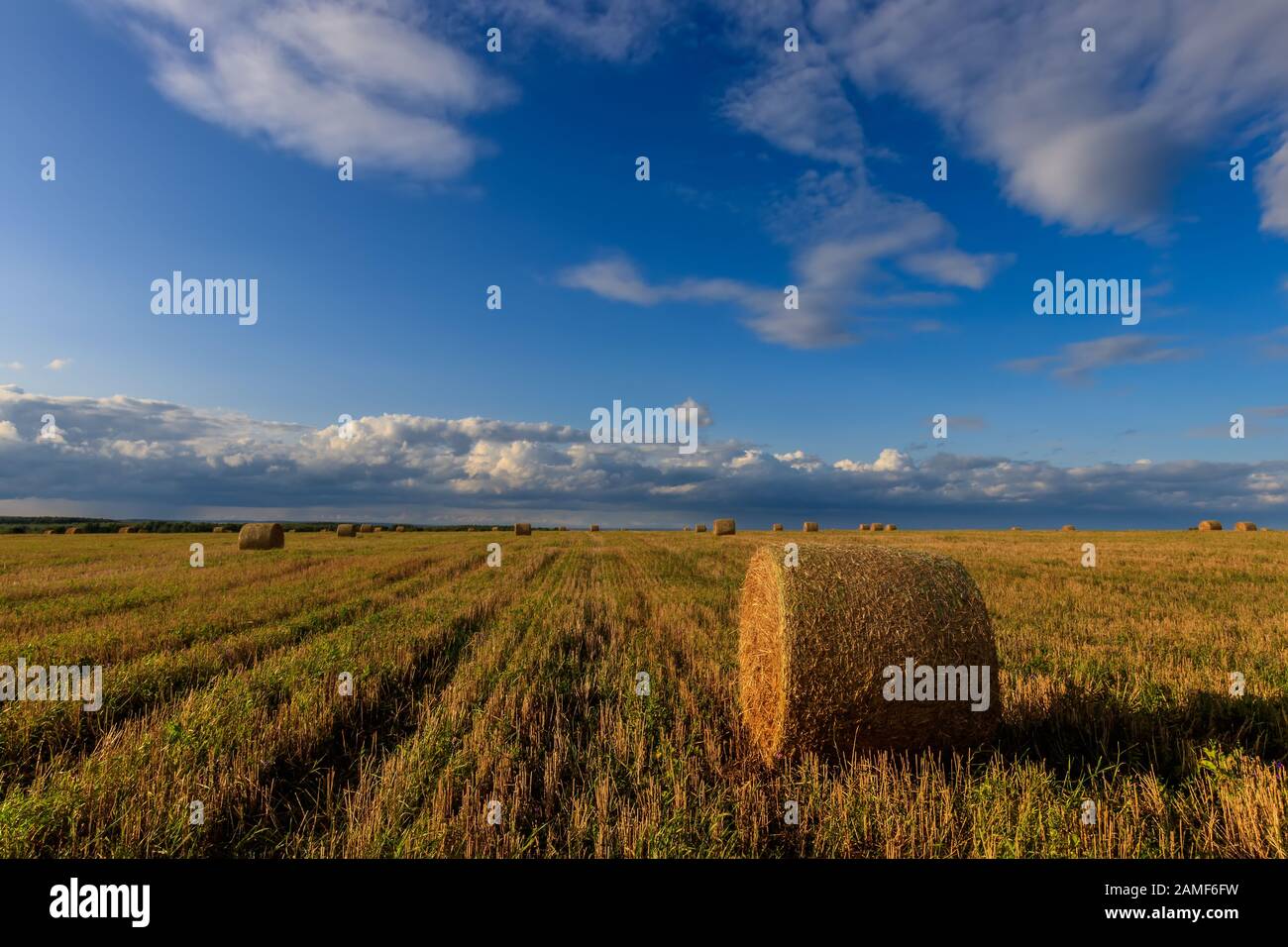 Haystacks on the field in Autumn season. Rural landscape with cloudy ...