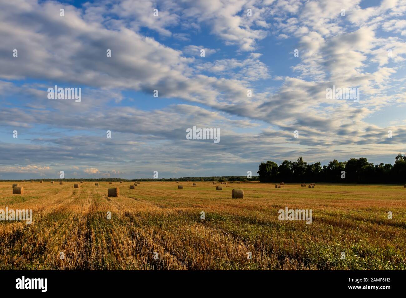 Haystacks on the field in Autumn season. Rural landscape with cloudy ...