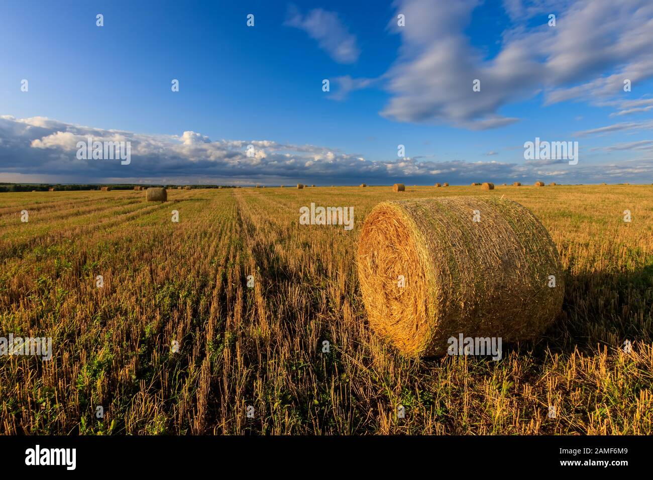 Haystacks on the field in Autumn season. Rural landscape with cloudy ...