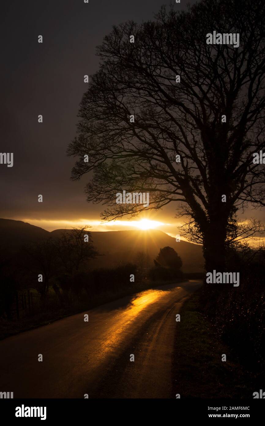 Evening sun on country lane hi-res stock photography and images - Alamy