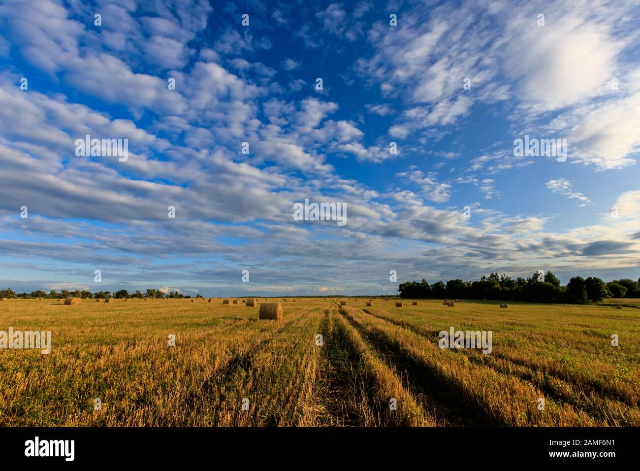 Haystacks on the field in Autumn season. Rural landscape with cloudy ...