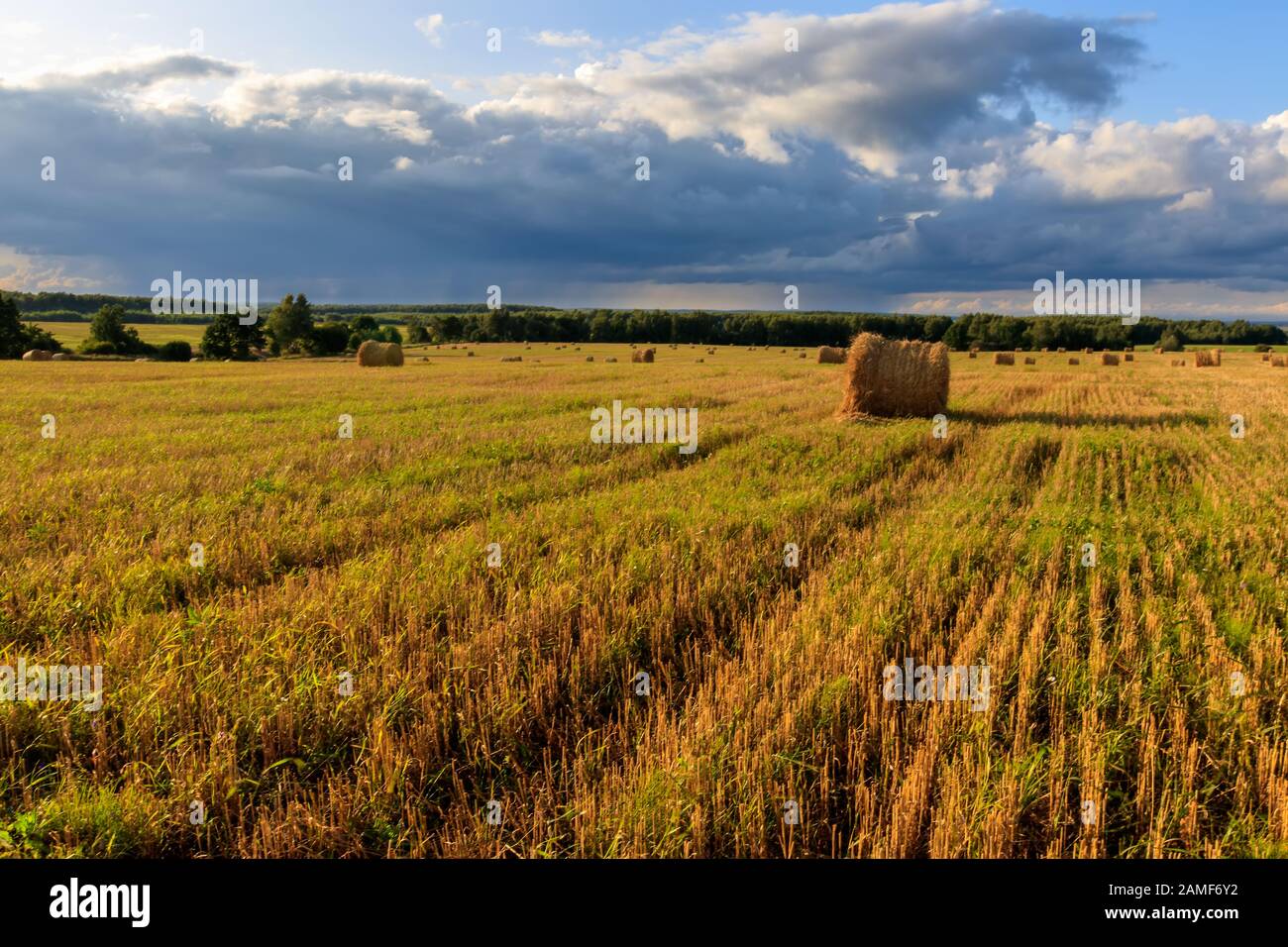 Haystacks on the field in Autumn season. Rural landscape with cloudy ...