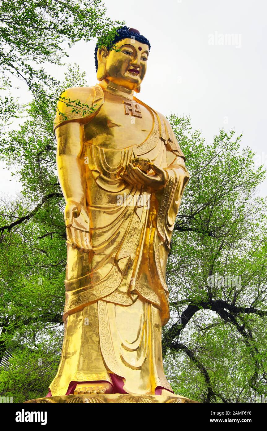Spring Temple Buddha