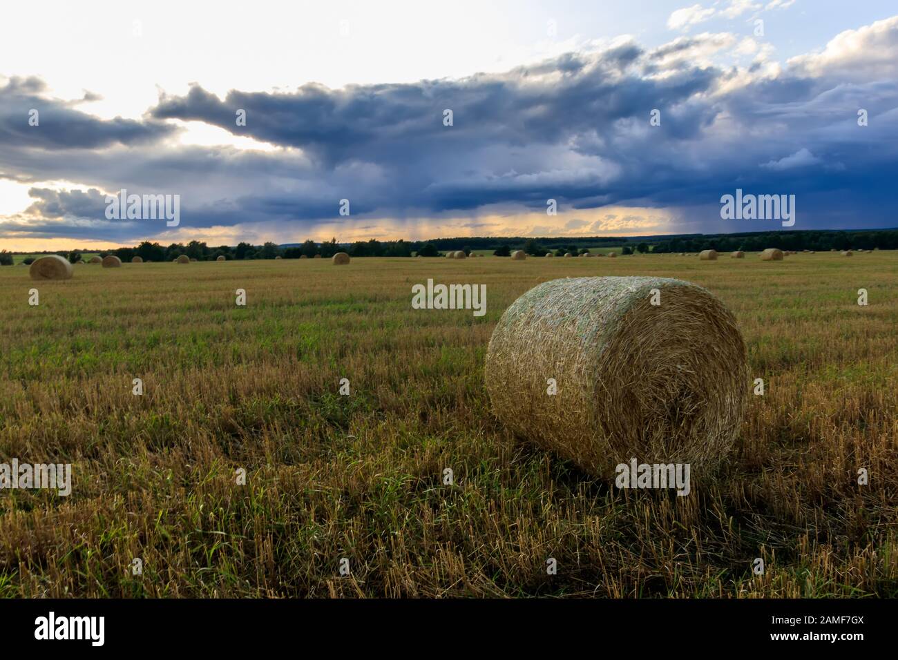 Haystacks on the field in Autumn season. Rural landscape with cloudy ...