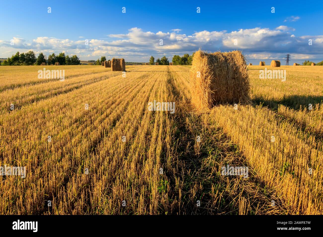 Haystacks on the field in Autumn season. Rural landscape with cloudy ...
