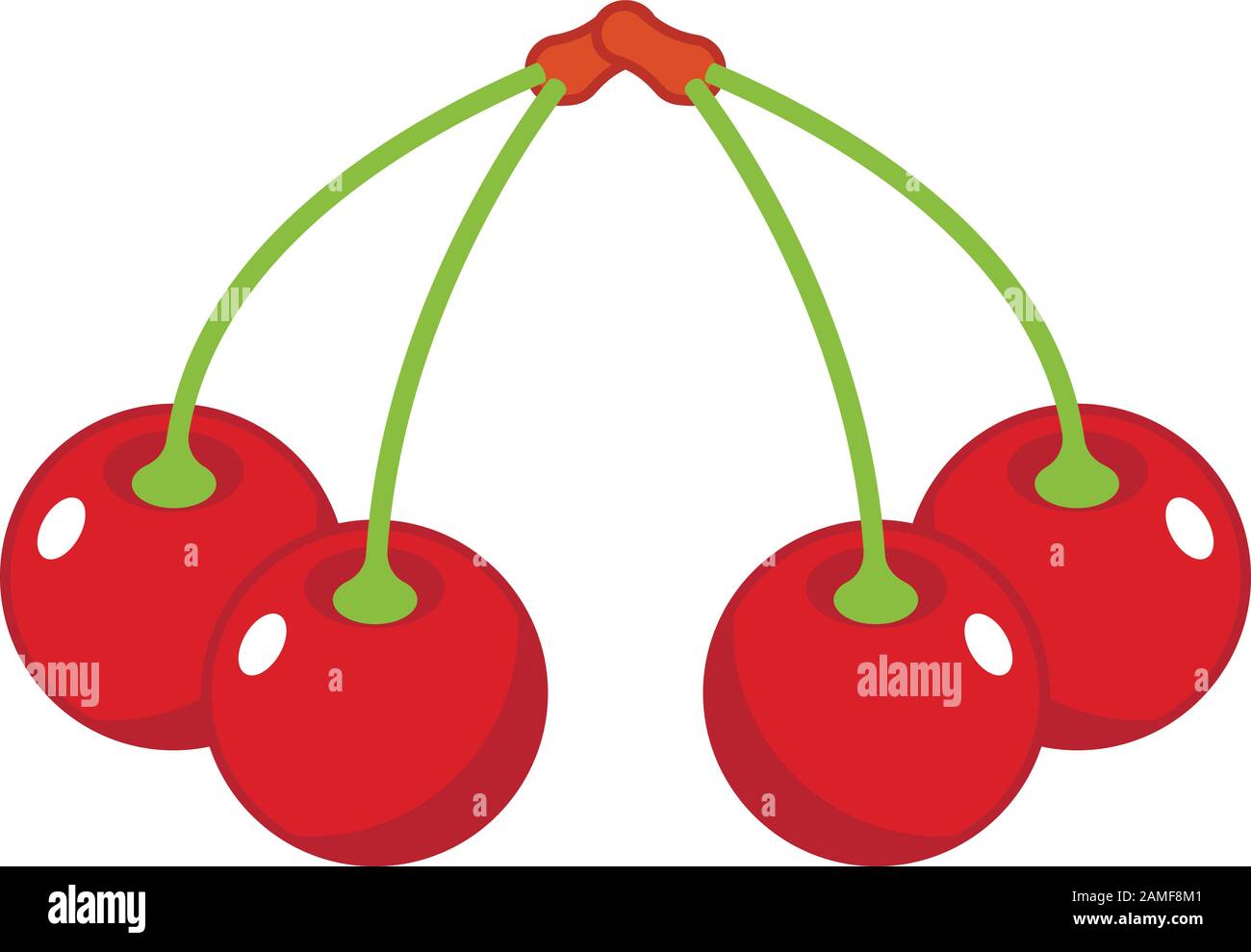 Prunus cerasus Stock Vector Images - Alamy