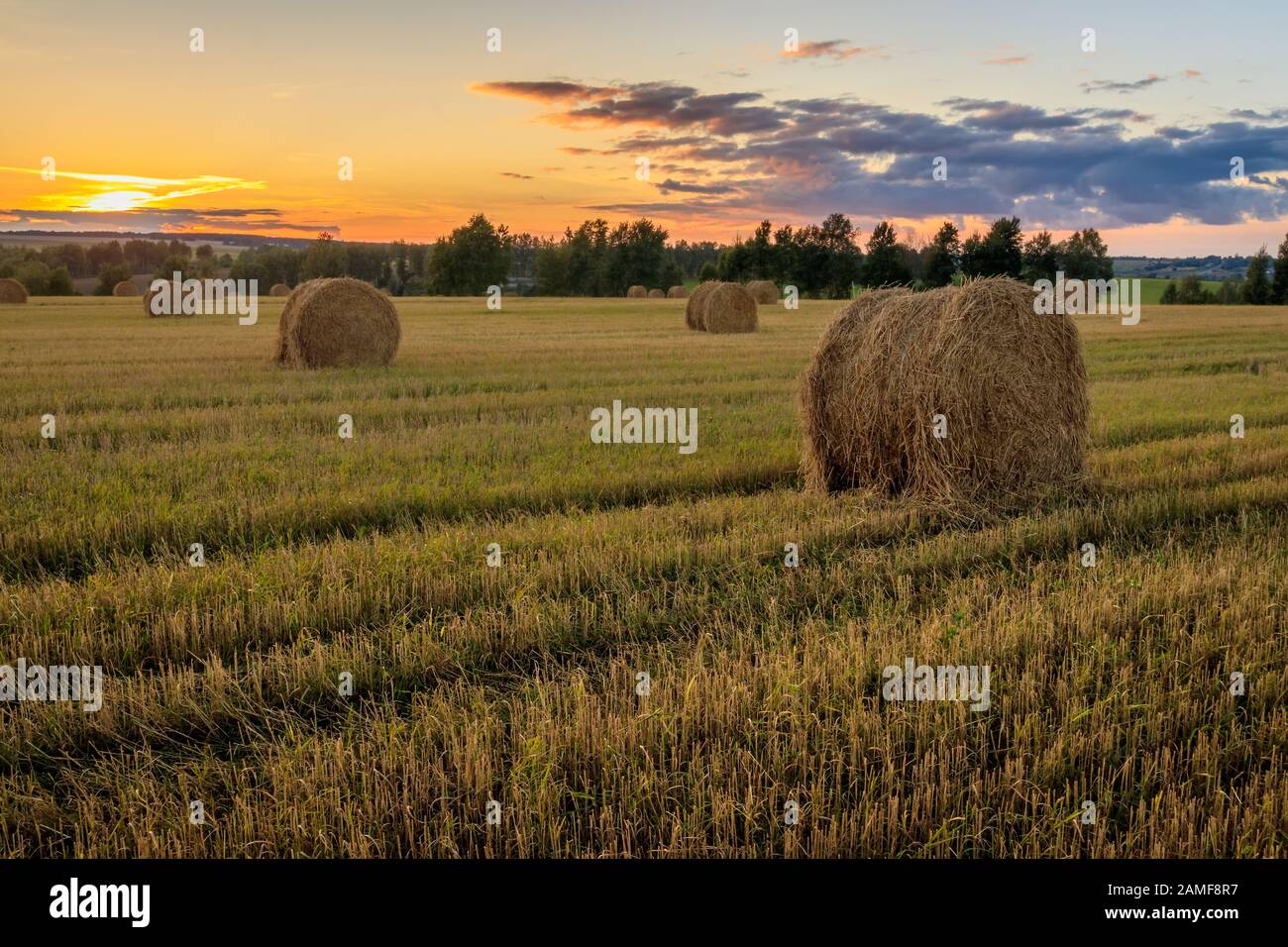 Haystacks on the field in Autumn season. Rural landscape with cloudy ...