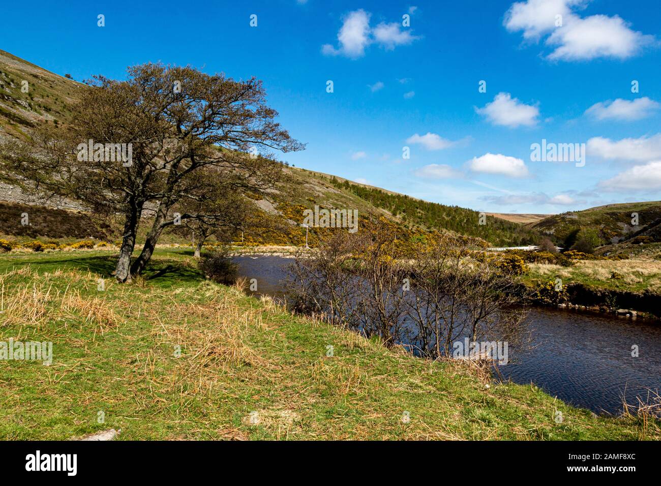 Breamish Valley Northumberland Stock Photo - Alamy