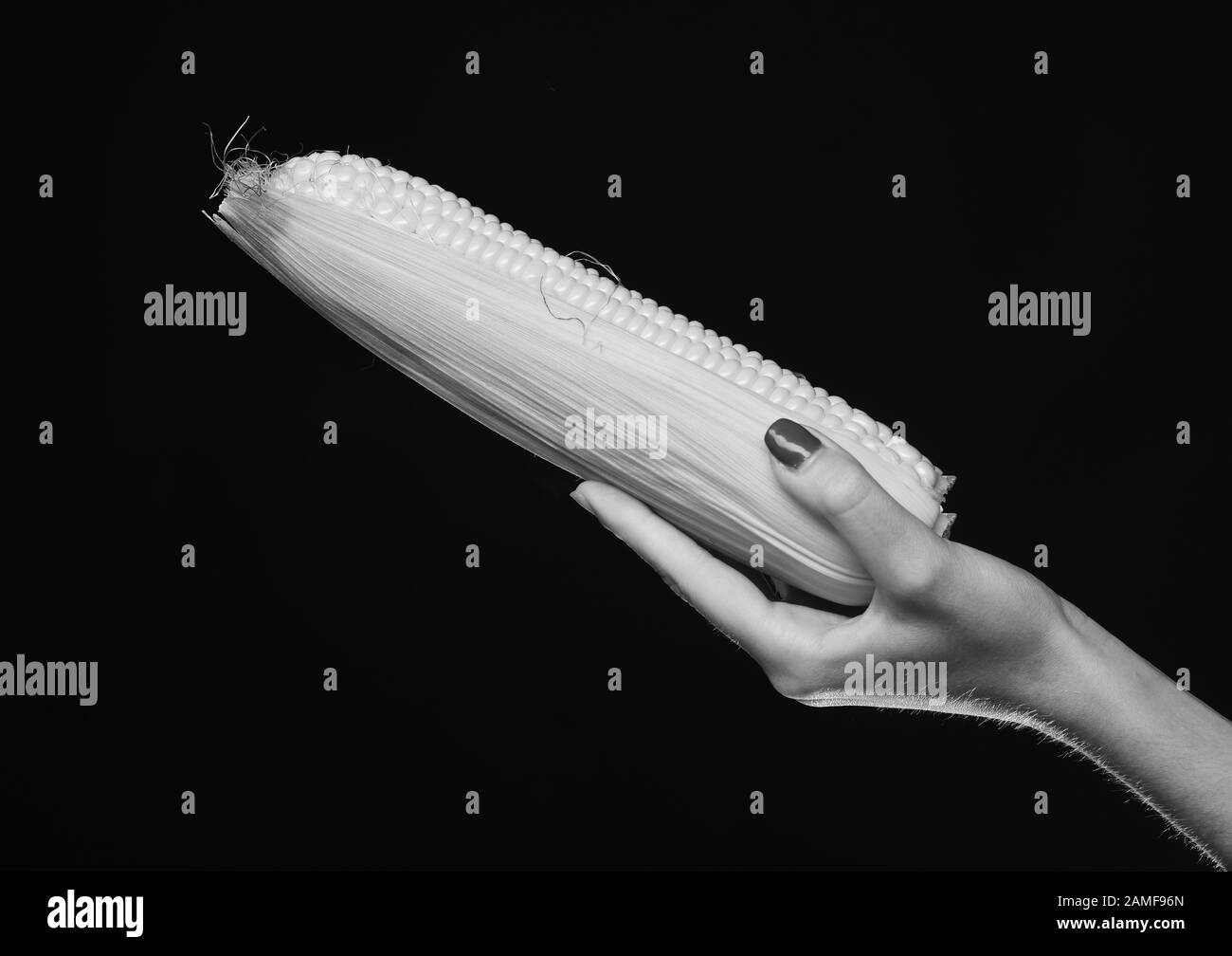 Female hand holds corn isolated on black background. Corn cob in yellow ...