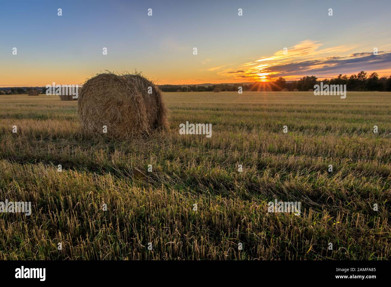 Haystacks on the field in Autumn season. Rural landscape with cloudy ...