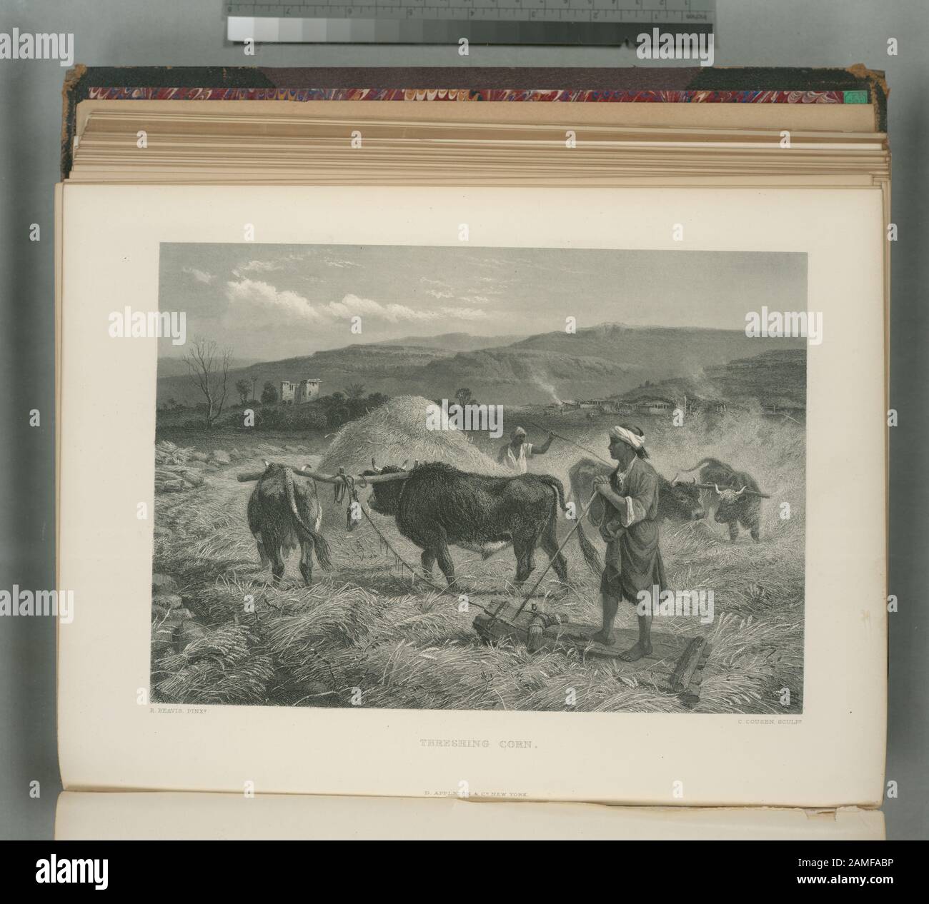 Threshing corn Colonel Wilson, ed.; Threshing corn Stock Photo - Alamy