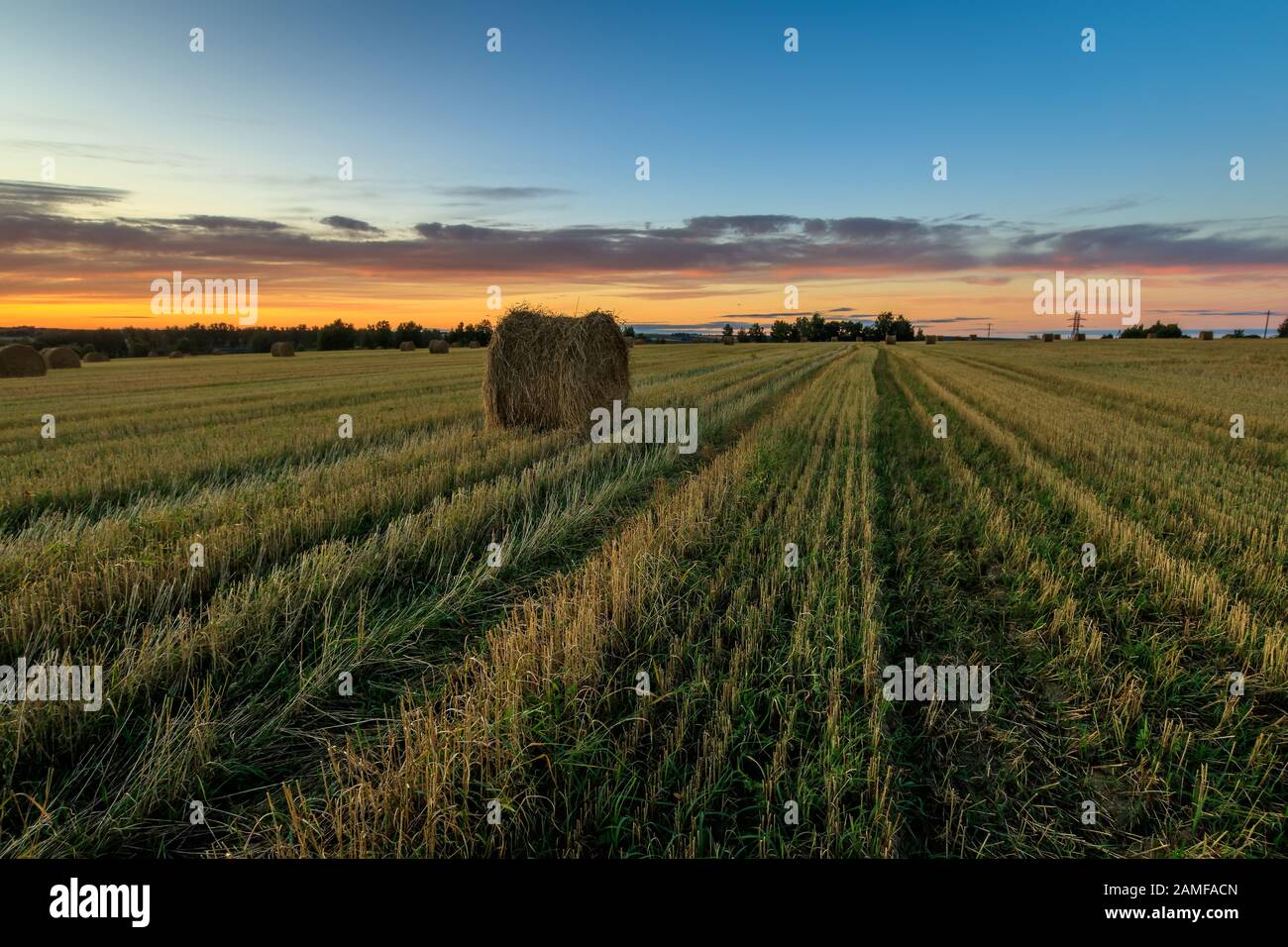 Haystacks on the field in Autumn season. Rural landscape with cloudy ...