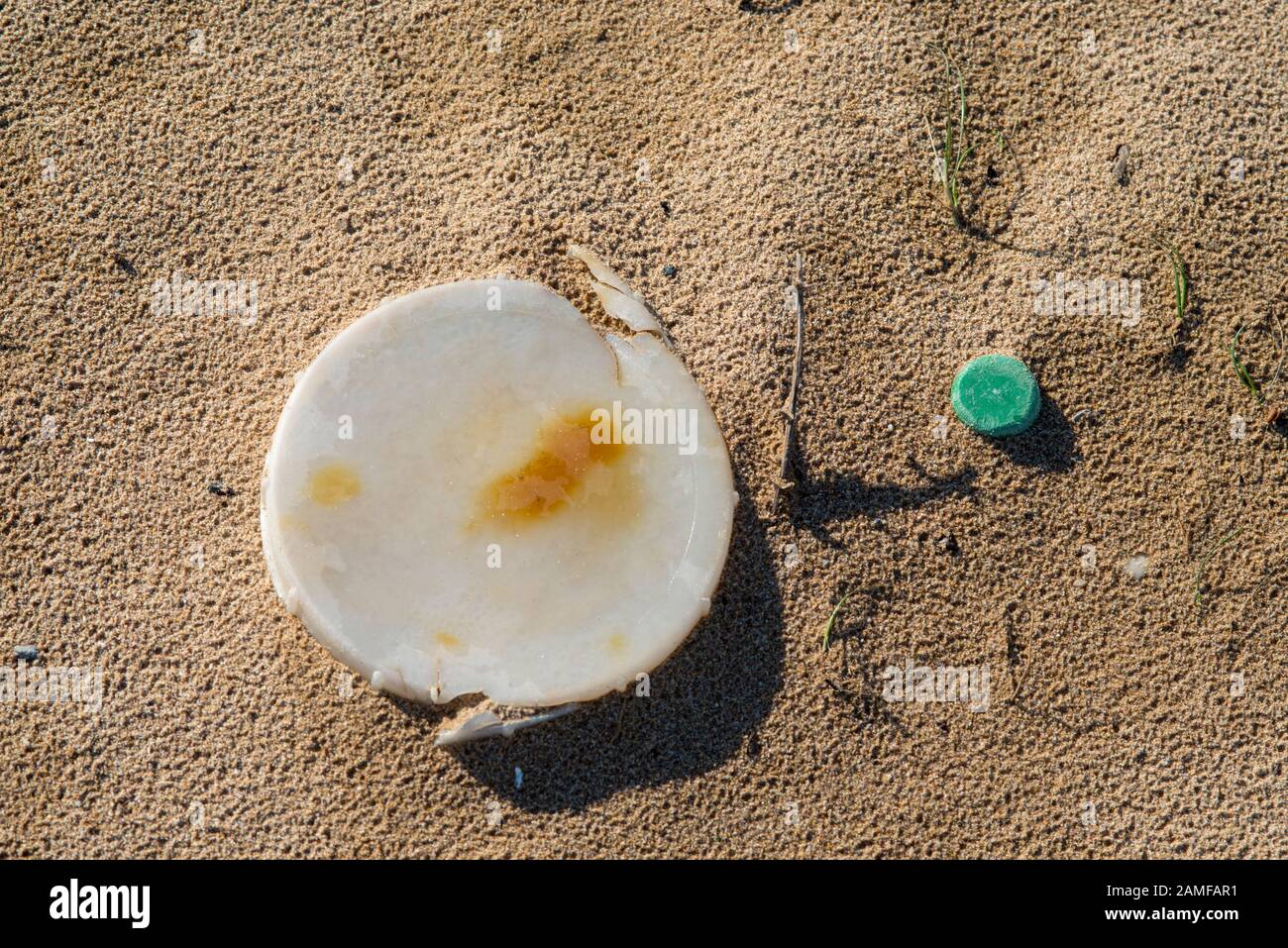 Plastic trashes on the beautiful sandy beach Stock Photo - Alamy