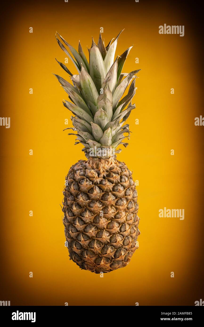 Whole isolated orange ananas with vignette. Sun summer design Stock ...