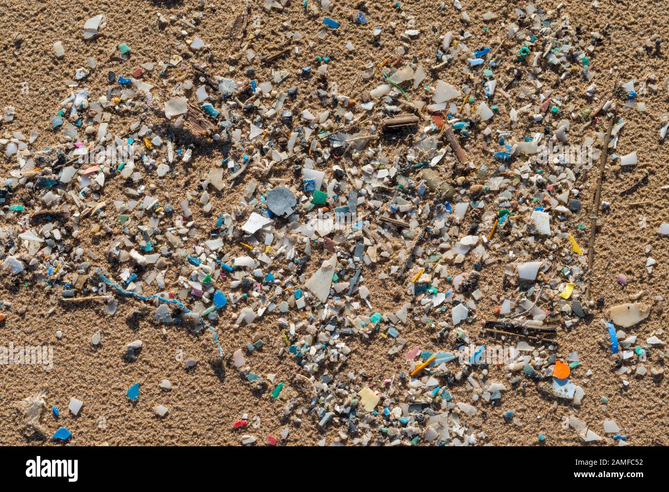 Plastic trashes on the beautiful sandy beach Stock Photo - Alamy