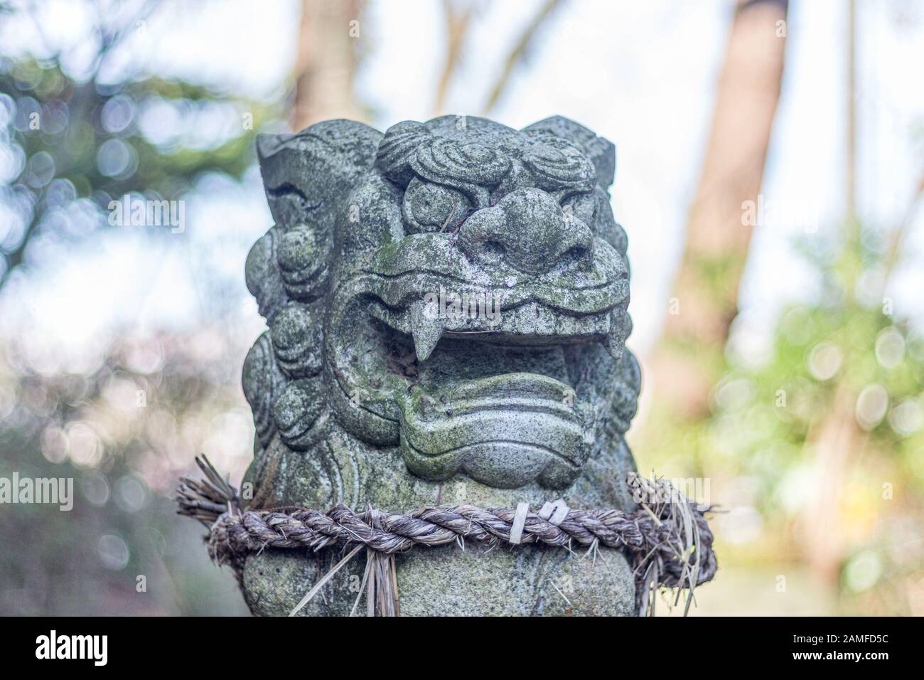 Lion-dog, or komainu, with scared shimenwa rope, at Imohoritogoro ...