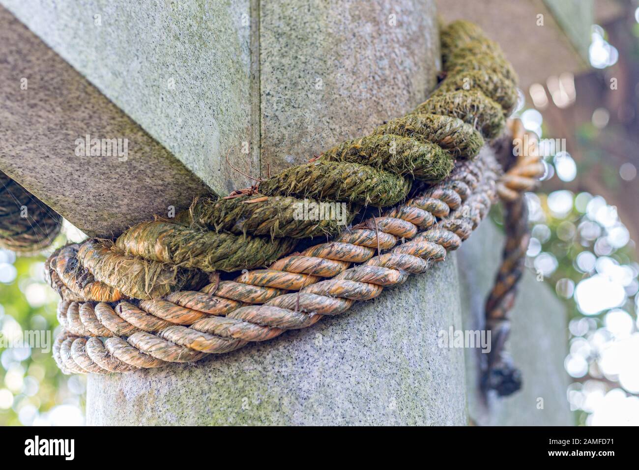 Shimenawa rope hi-res stock photography and images - Alamy