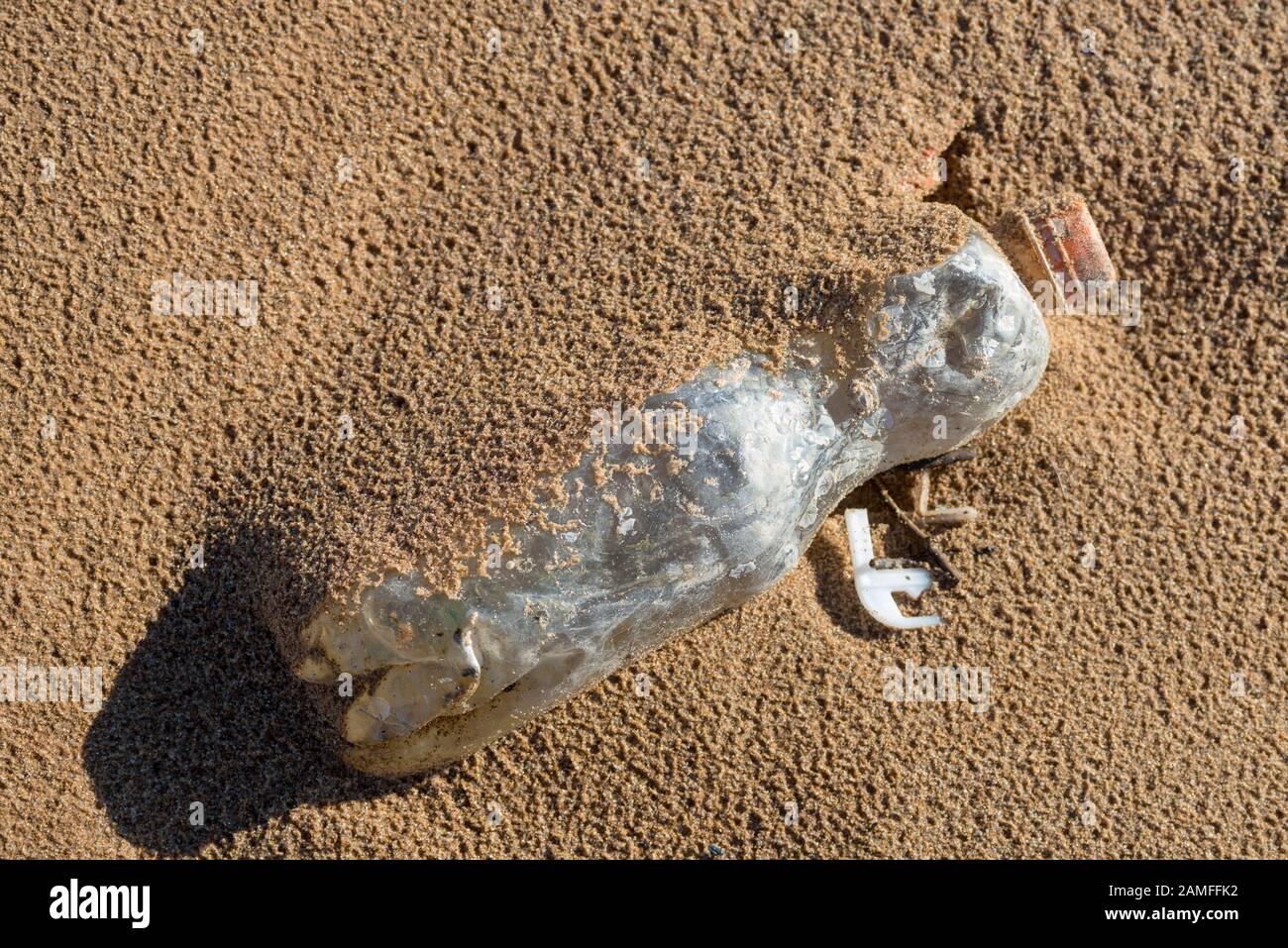 Plastic trashes on the beautiful sandy beach Stock Photo - Alamy