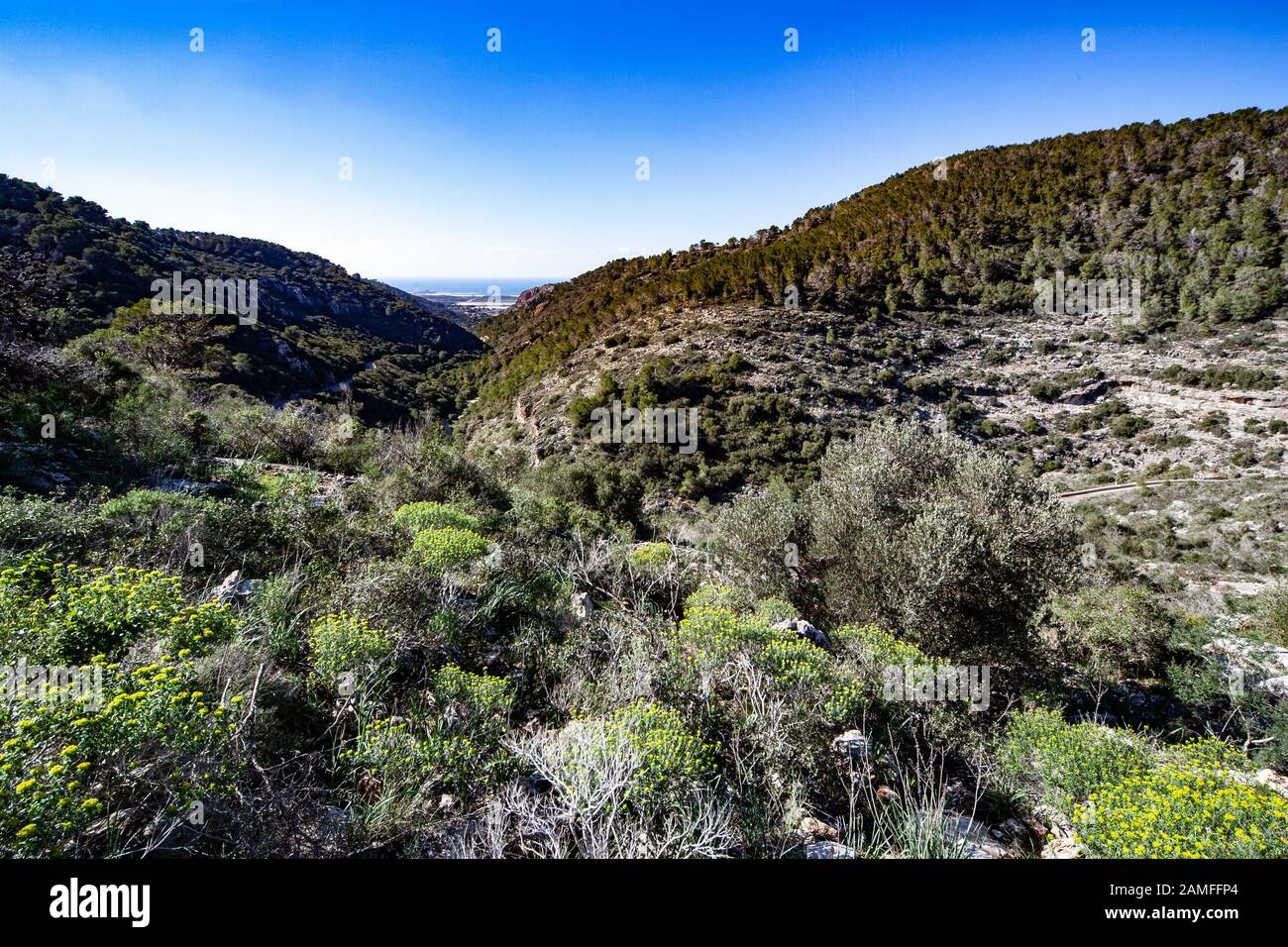 Remote landscape in the Carmel Mountain range, Israel Stock Photo - Alamy