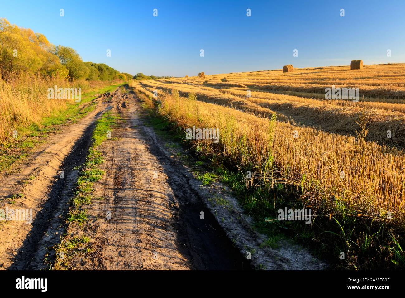 Haystacks on the field in Autumn season. Rural landscape with path and ...