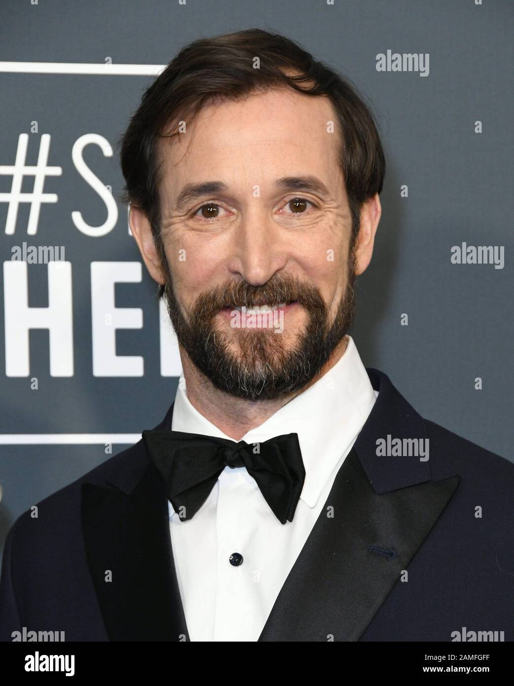 12 January 2020 - Santa Monica, California - Noah Wiley. 25th Annual ...