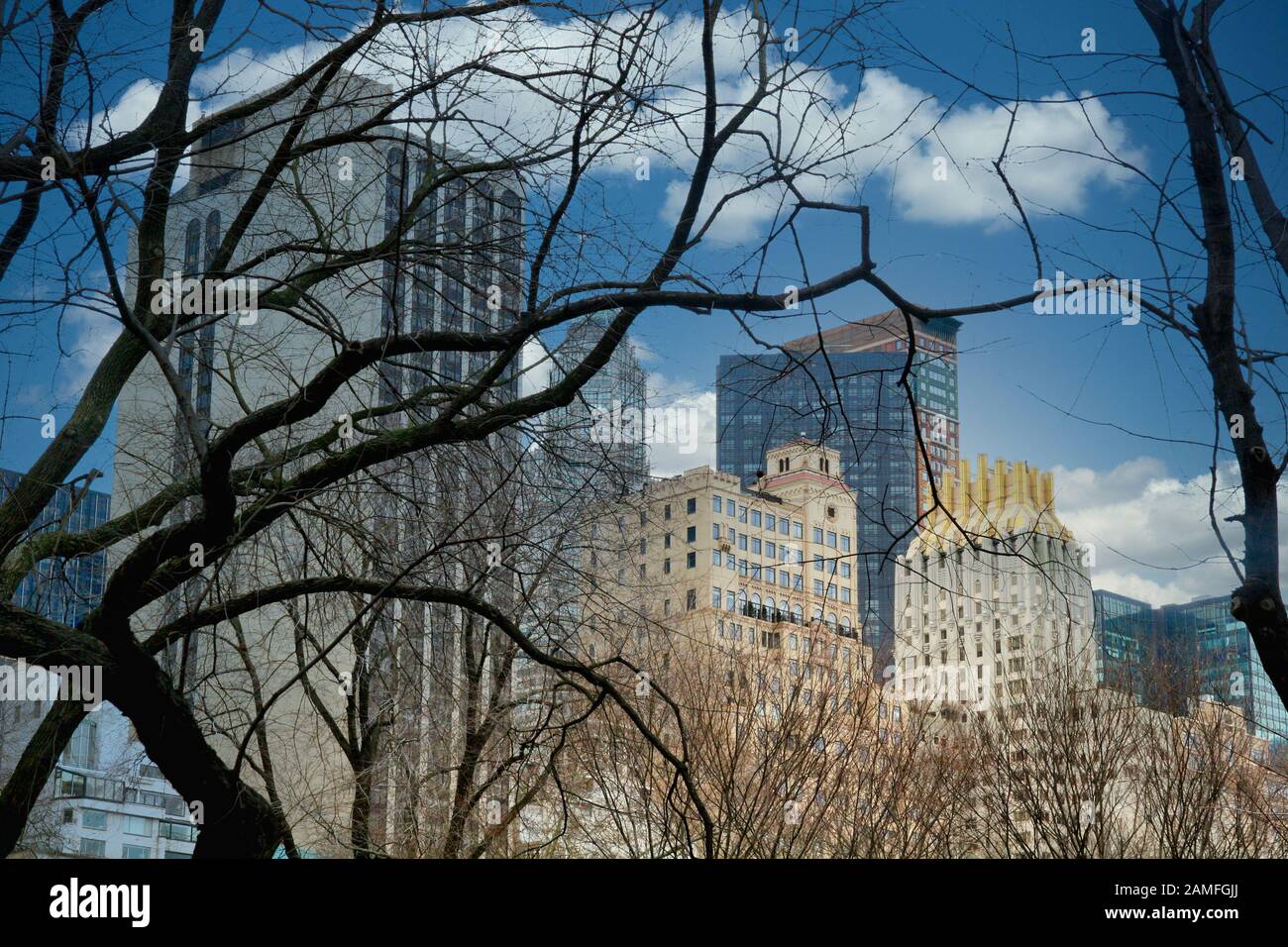 New York City Through Park Trees Stock Photo - Alamy