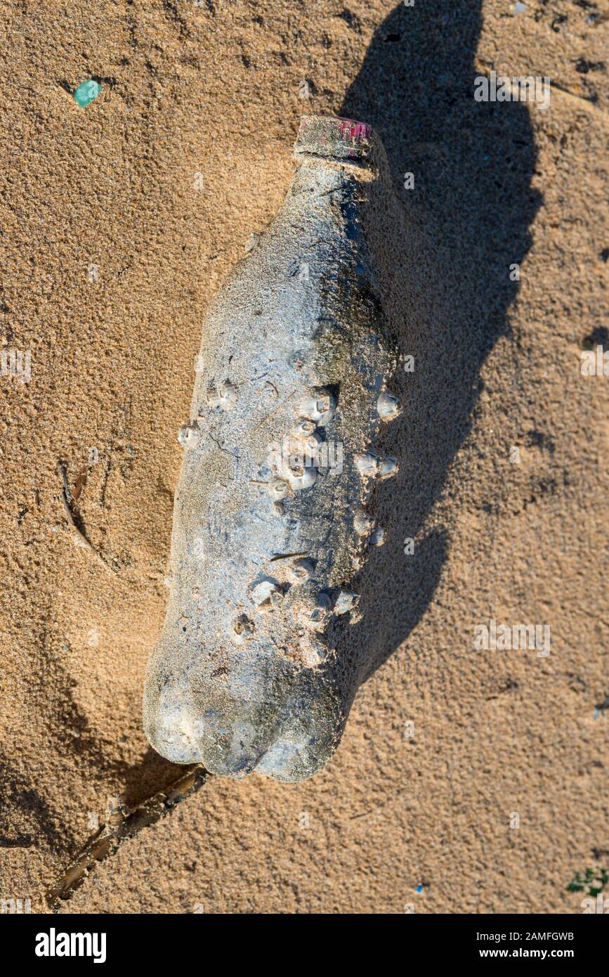Plastic trashes on the beautiful sandy beach Stock Photo - Alamy