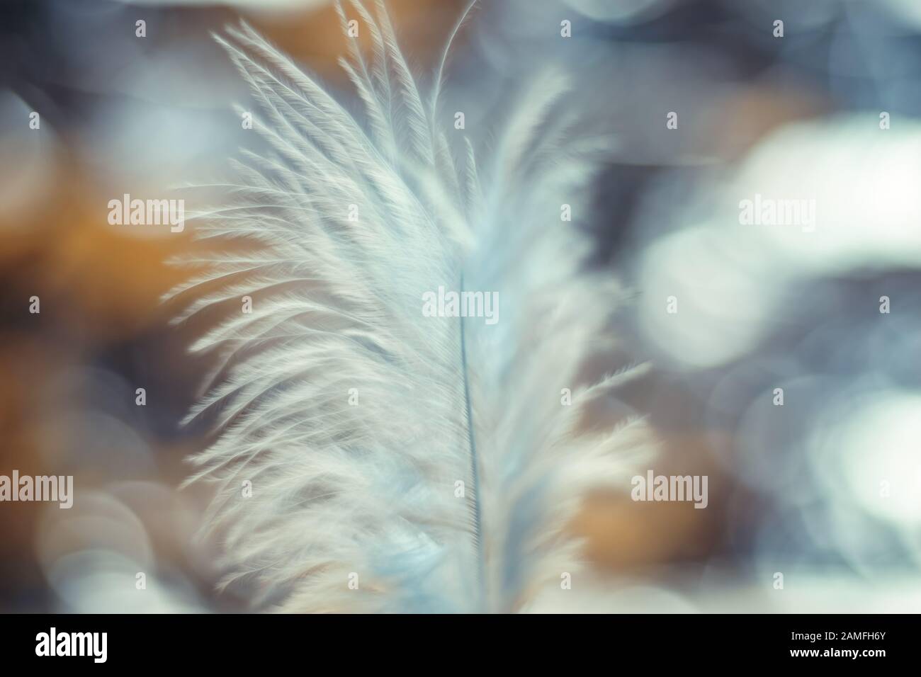 Close up Beautiful blue Bird feather pattern background for design ...