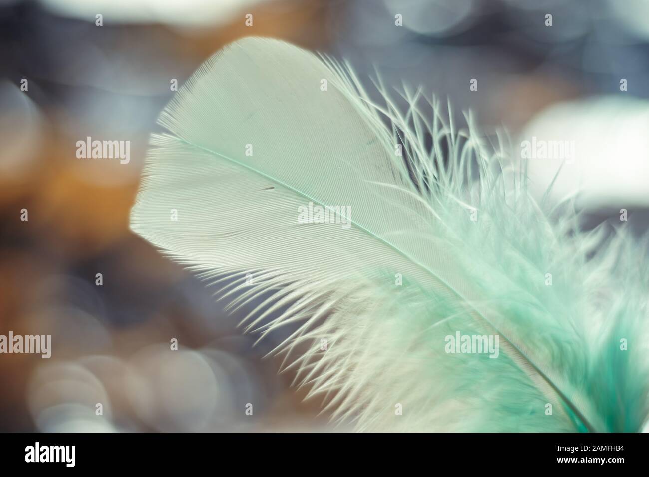 Close up Beautiful gray Bird feather pattern background for design ...