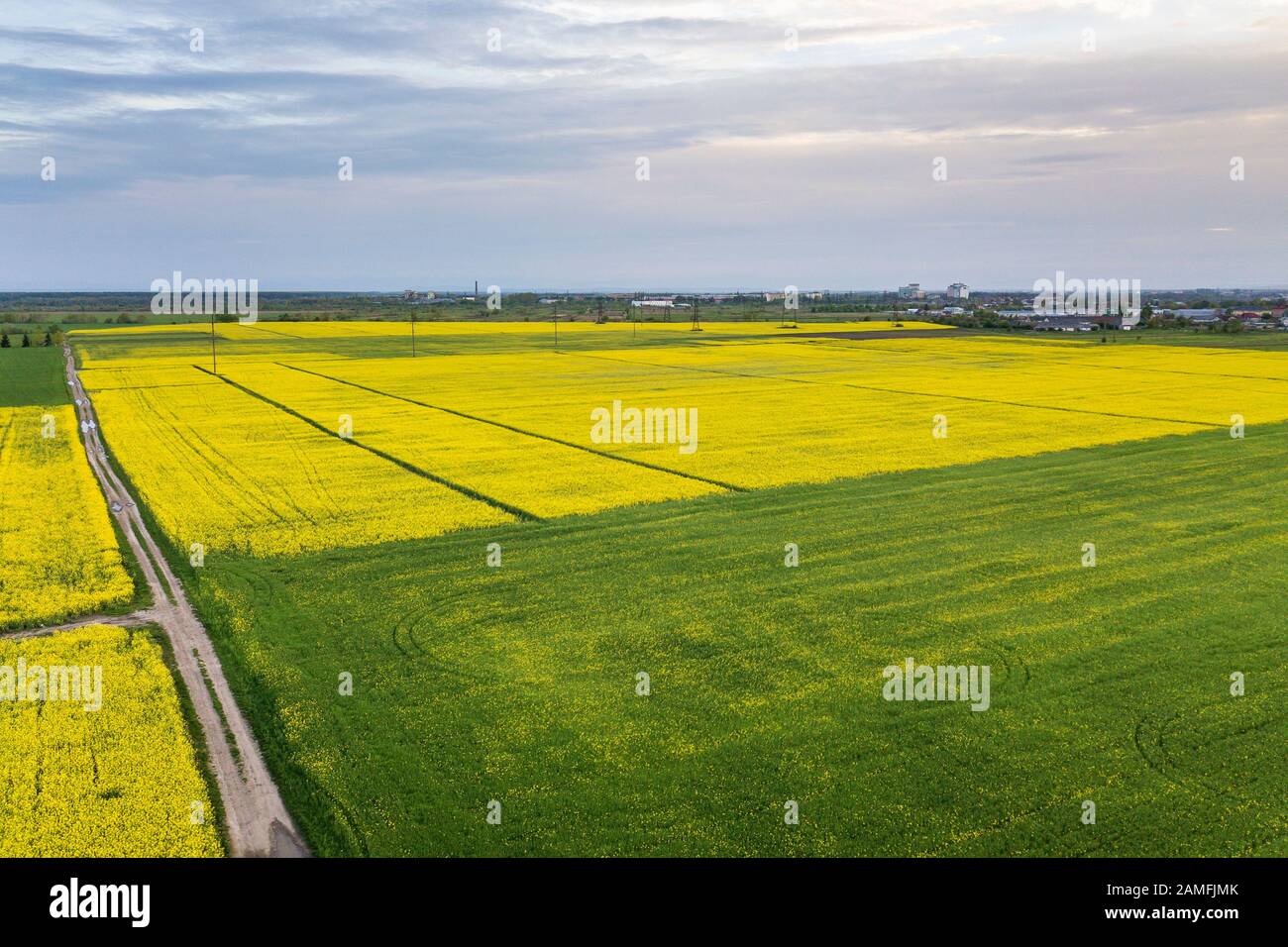 Aerial view of straight ground road with rain puddles in green fields ...