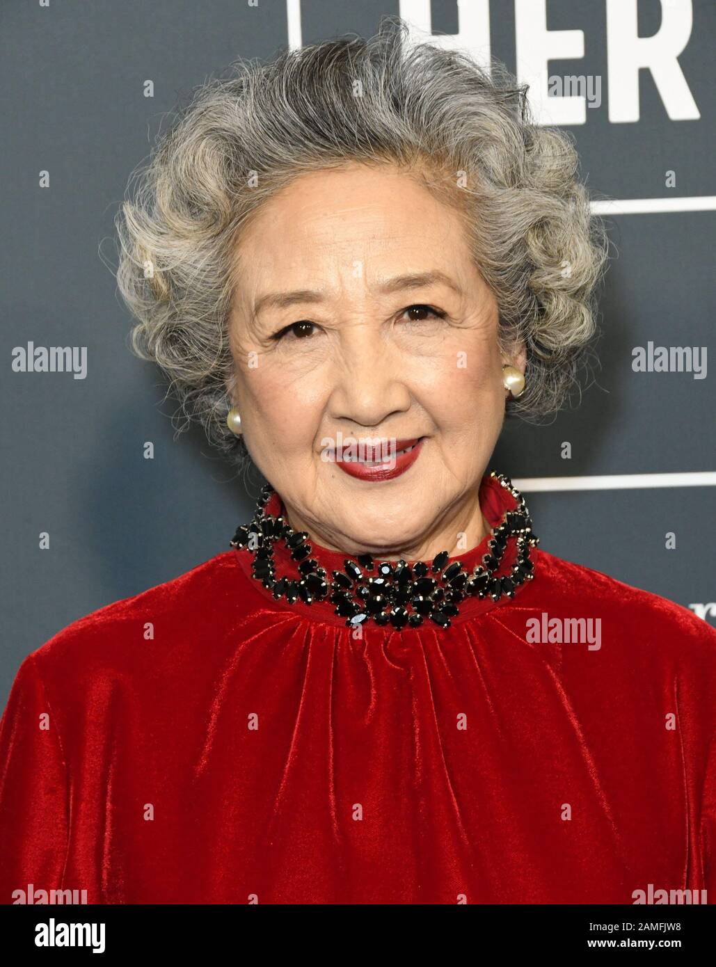 12 January 2020 - Santa Monica, California - Shuzhen Zhao. 25th Annual ...