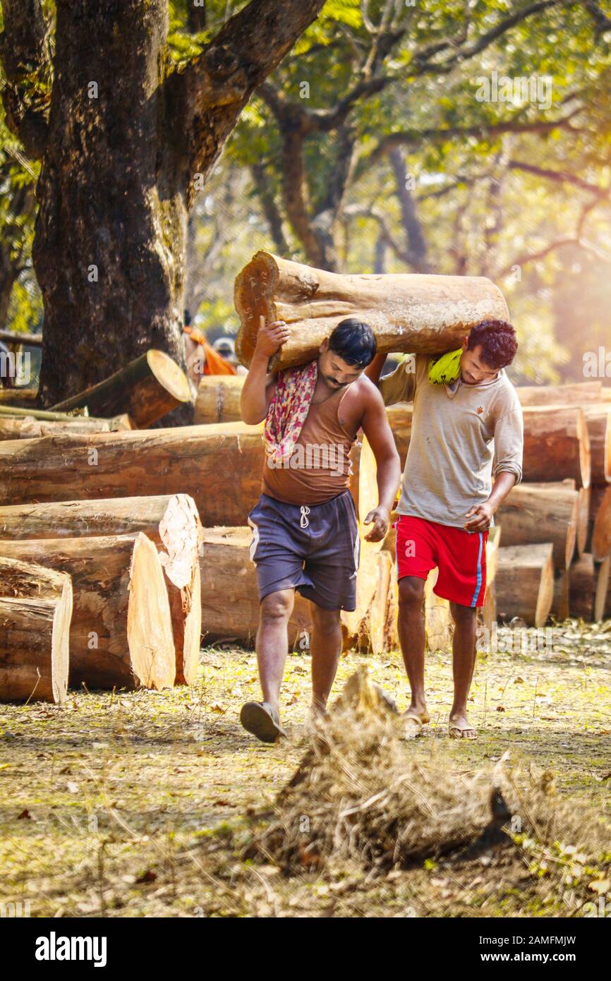 Timber carrier hi-res stock photography and images - Alamy