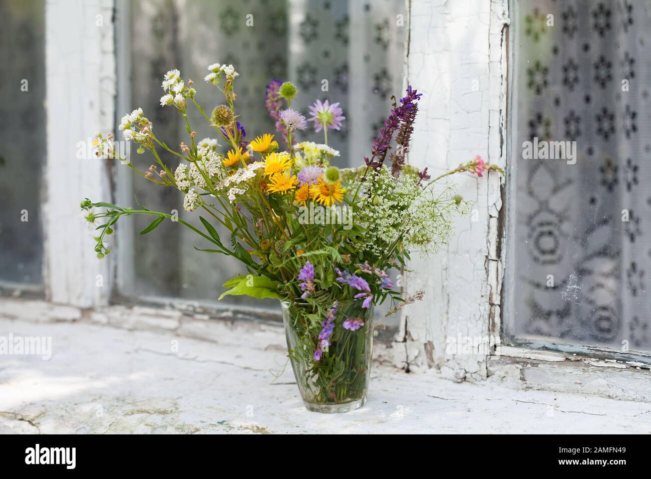 Steppe flowers High Resolution Stock Photography and Images - Alamy