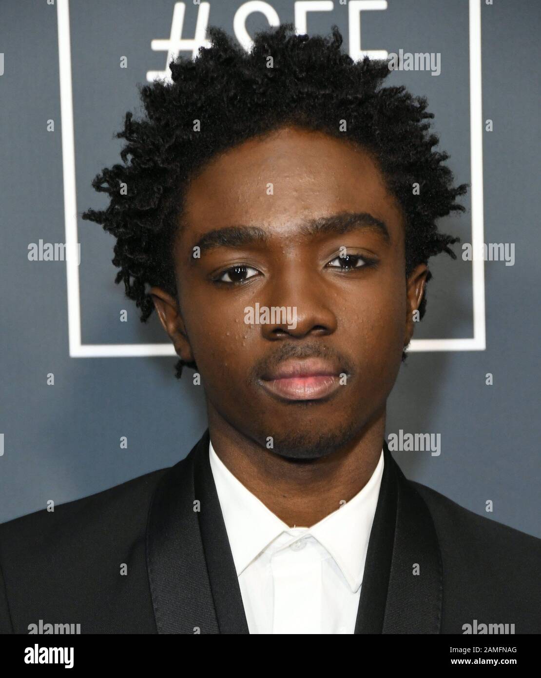 12 January 2020 - Santa Monica, California - Caleb McLaughlin. 25th ...