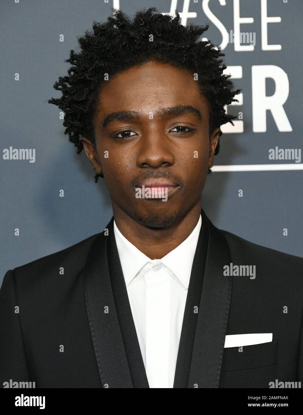 12 January 2020 - Santa Monica, California - Caleb McLaughlin. 25th ...