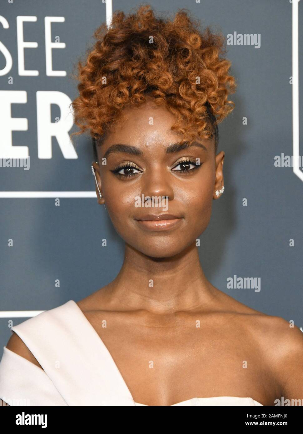 12 January 2020 - Santa Monica, California - Ashley Murray. 25th Annual ...