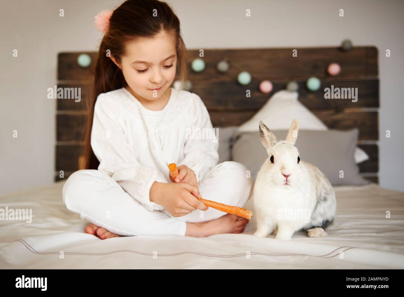 Girl feeding her rabbit on the bed Stock Photo - Alamy