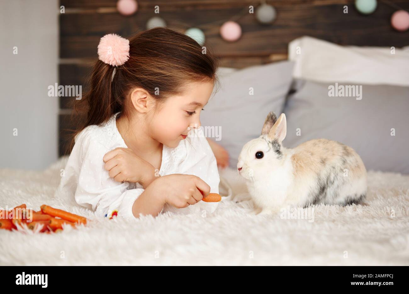 Child feeding rabbit hi-res stock photography and images - Alamy