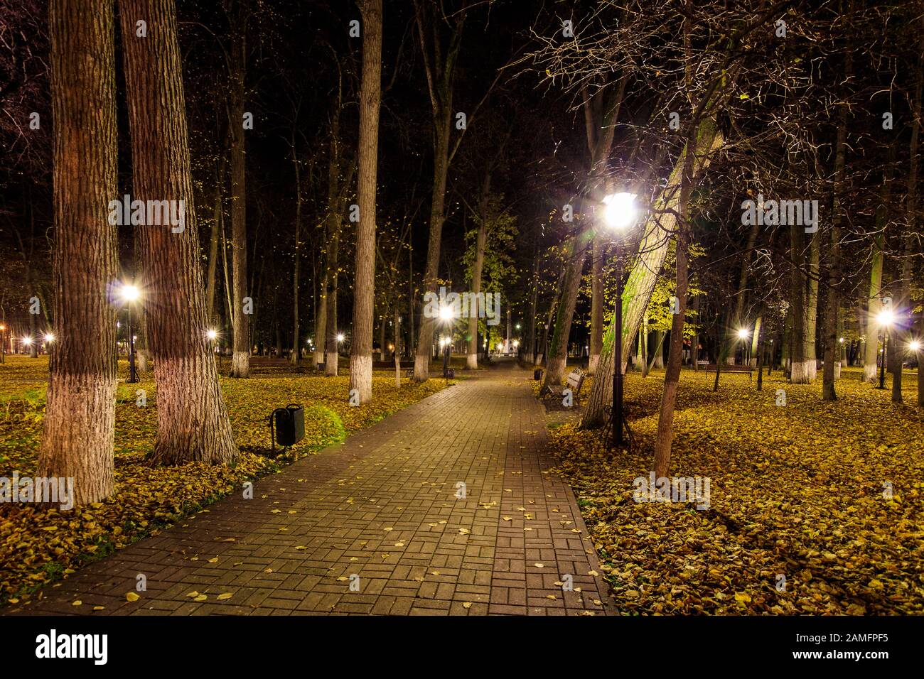 City night park in autumn with paths strewn, fallen yellow leaves ...